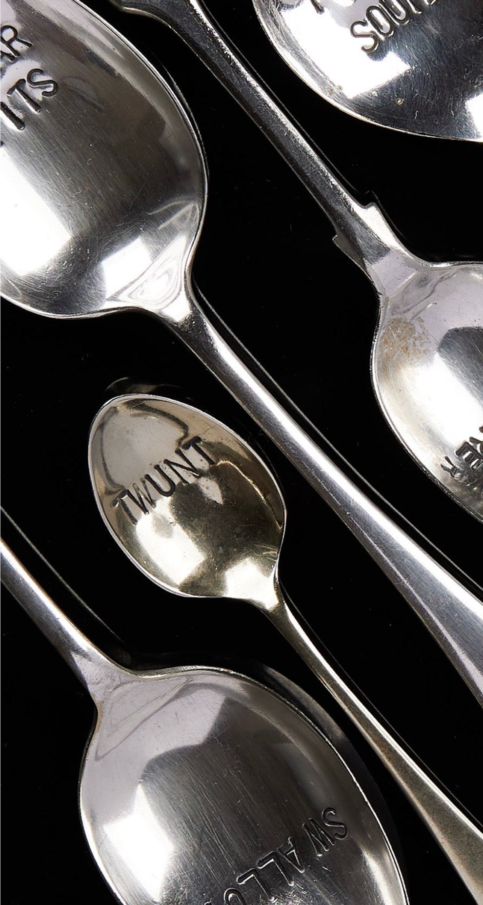 Twunt Spoon – The Gilded Gobshite